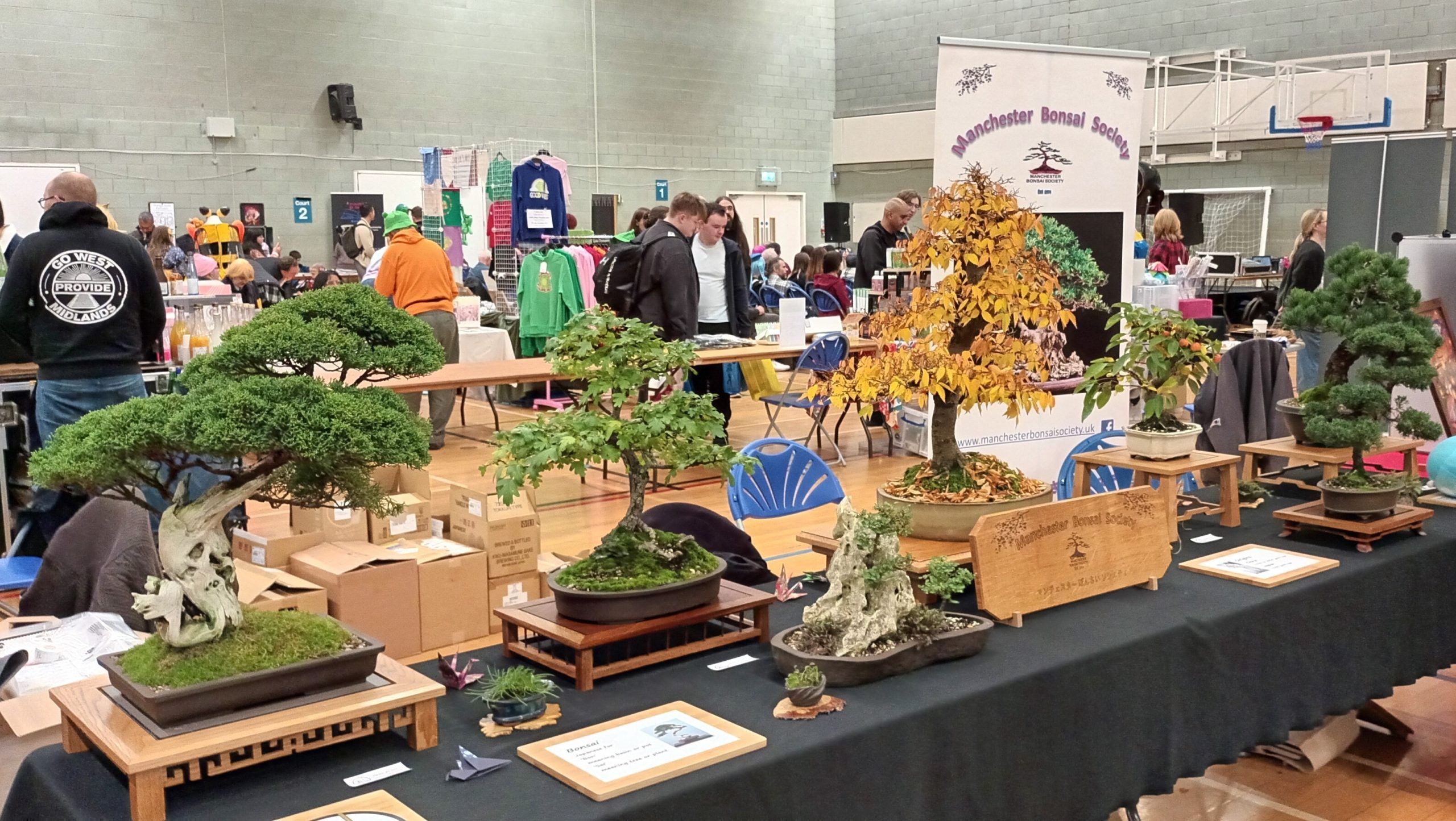 Japan Day 2024 - Manchester Bonsai Society